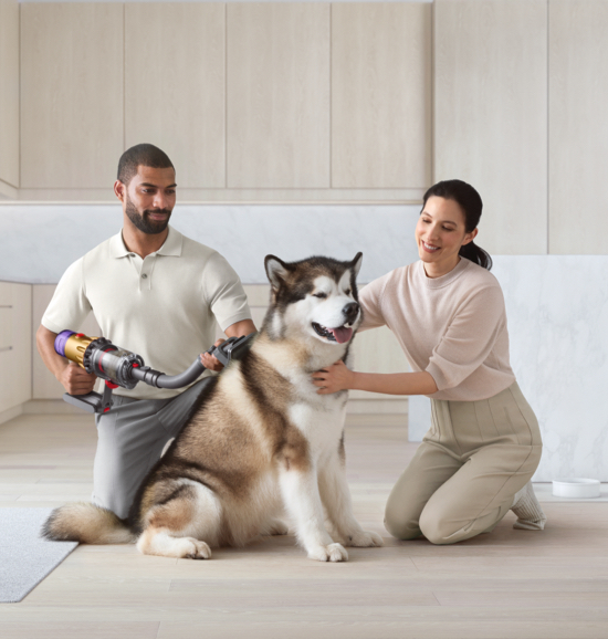 Dyson Digital Demozone